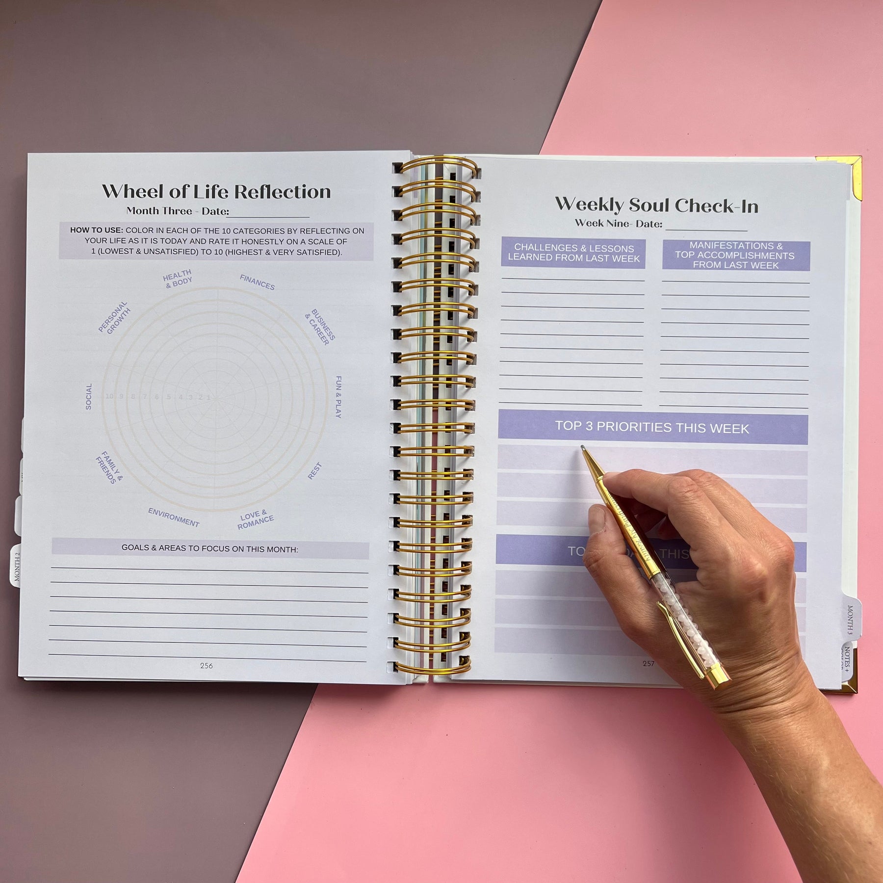 The Maniscripting Journal: the most powerful manifestation journal ...